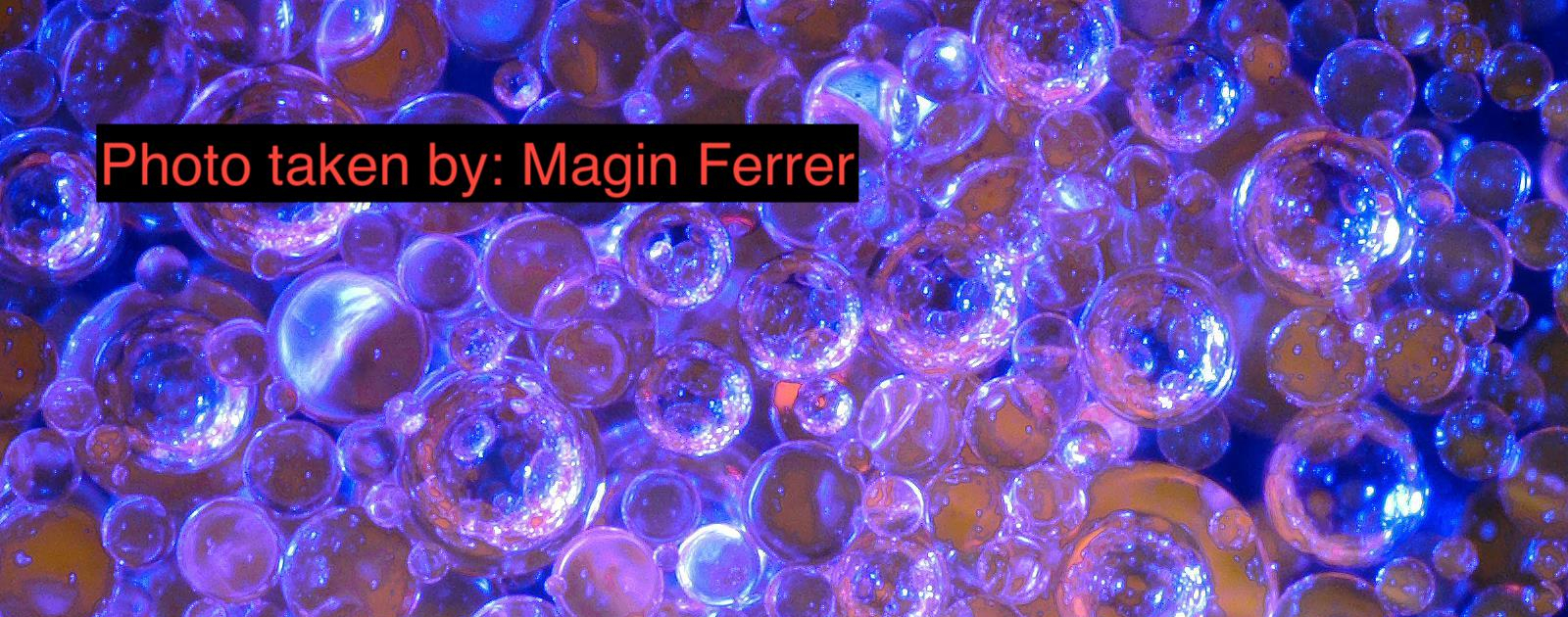 Magin Benedict Ferrer lauréat du concours « Beauté cachée de la science ...